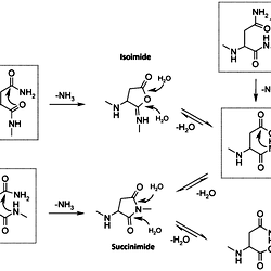 Asparagine and Aspartate degradation pathways.