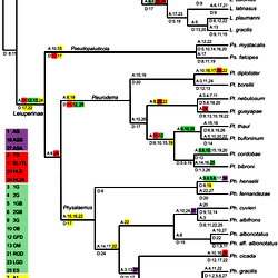 Ancestral reconstruction of developmental sequences.