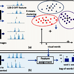 A diagram illustrating how to generate the bag-of-words visual words ...