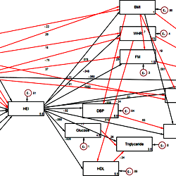 Path analysis diagram with standardized estimates illustrating the ...