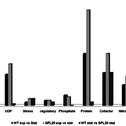 Summary of transcriptome analysis.