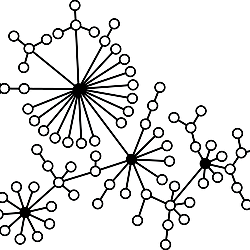 Schematic representation of a scale-free network.