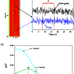 Calculation and characteristics of pCF.