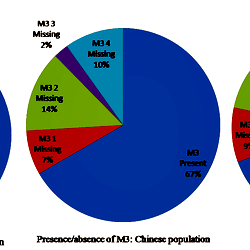 Distribution of Subjects with M3 Presence/Agenesis in Malysian Malay ...
