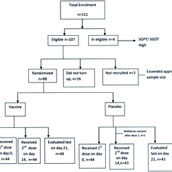 Flow chart for the recruitment of volunteers in the study.