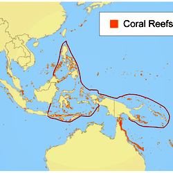 Map of the Coral Triangle region showing (orange polygons) the ...