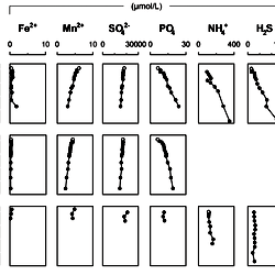 Pore water profiles of Fe2+, Mn2+, SO42−, PO4, NH4+, H2S and alkalinity ...