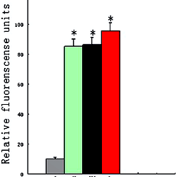 Selective infection of ACPP-pc-Ad-eGFP in MMP-overexpressing cells and ...