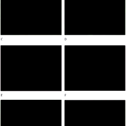 Cytoplasmic delivery of ACPP-pc-Ad-eGFP and pc-Ad-eGFP in A549 cells.