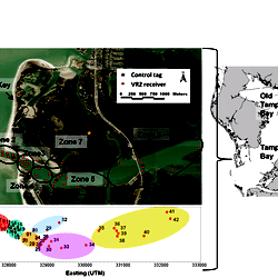 Maps of the receiver array and Tampa Bay.