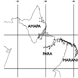 Map of the distribution of Anableps anableps populations sampled in the ...