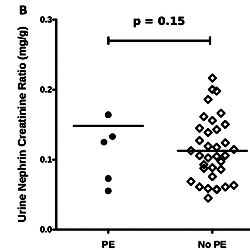 Dot plots of urine nephrin-to-creatinine ratios.