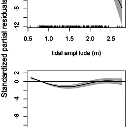 The ENV model for the tiger shark.