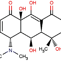 Molecular structure of OTC.