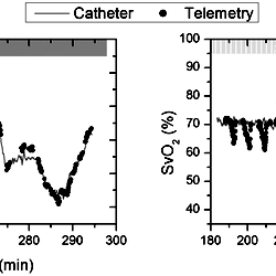 Venous oxygen saturation.