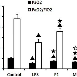 Effects of P1 and MP12 on LPS rat arterial blood gas analysis.