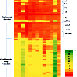 Test of optimum drug combinations in the patient cells.