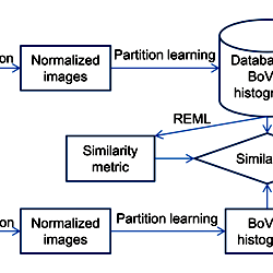 Flowchart of the proposed CBIR system.