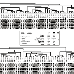 Hierarchical clustering of microarray data.