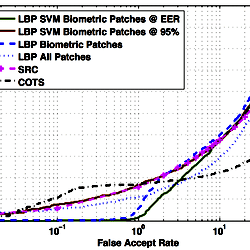 The results of the proposed face recognition framework using LBP descriptor.