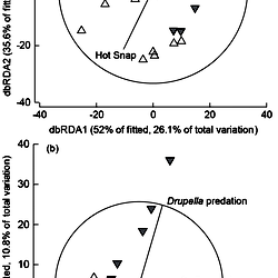Distance-based redundancy analysis (dbRDA) ordination plots ...