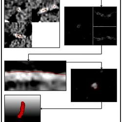Illustration of the manual segmentation process.