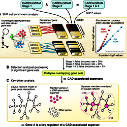 Schematic overview of the study design.