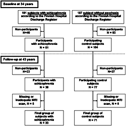 Flow-chart of the study.