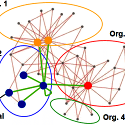 Setting for SAF model.
