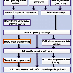 The flow chart of the proposed approach to infer a cell-type specific ...