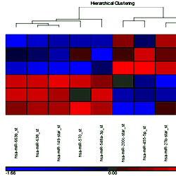 Heat map of differential expression of selected miRNAs by microarray.