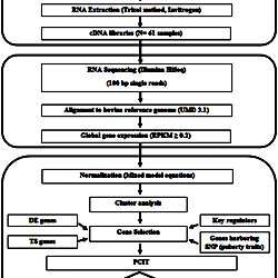 Flowchart of the analytical steps from tissue collection to RNA-Seq to ...
