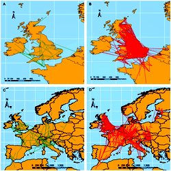 Maps of Barn Swallow movements.