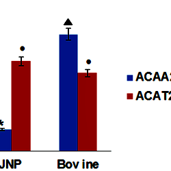 Expression analysis of mRNA and protein levels of ACAA2 and ACAT2 in ...