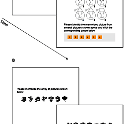 Examples of items from the Visual Memory Test.