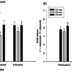 Mean SAM affective ratings collected after each phase.