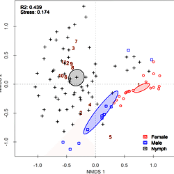 Non-metric multi-dimensional scaling (NMDS) of a Bray-Curtis distance ...