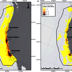 Individual overlapping 90% Home Range areas (A) and 50% Core Areas of ...