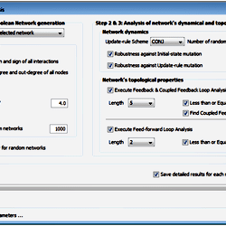 User interface for a batch-mode simulation on RBNs.