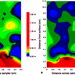 Two-dimensional contour plots showing surface gradients within ...