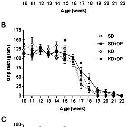 Improved motor function was observed in KD and SD+DP groups.