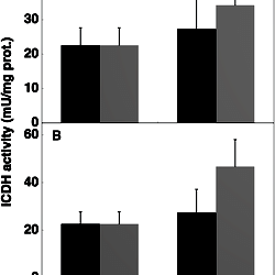 Effect of DCMU and DBMIB on the ICDH activity.