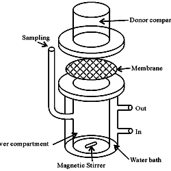 Modified Franz diffusion cell.