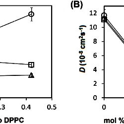 Average lateral diffusion coefficients (D) of DPPC lipids.