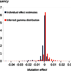 The estimated reflected gamma distribution of effects (inferred gamma ...