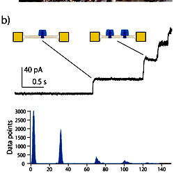 Photograph of the recording system, DW chip with an amplifier connected ...