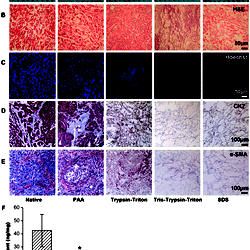 Cellular removal evaluation for PAA, Trypsin-Triton, Tris-Trypsin ...