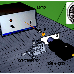 Experimental optical set-up.