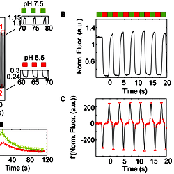 Experimental Quic Protocol