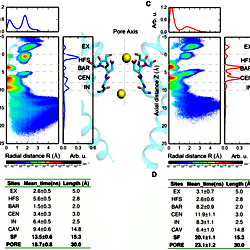 Ion distribution probability density map.